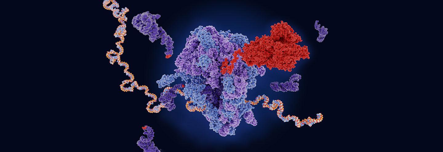 Overcoming Bottlenecks in mRNA Manufacturing Overcoming Bottlenecks in mRNA Manufacturing